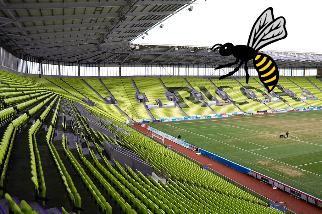 Why Wasps Must Not Be Allowed To Buy The Ricoh Arena – Sideways Sammy